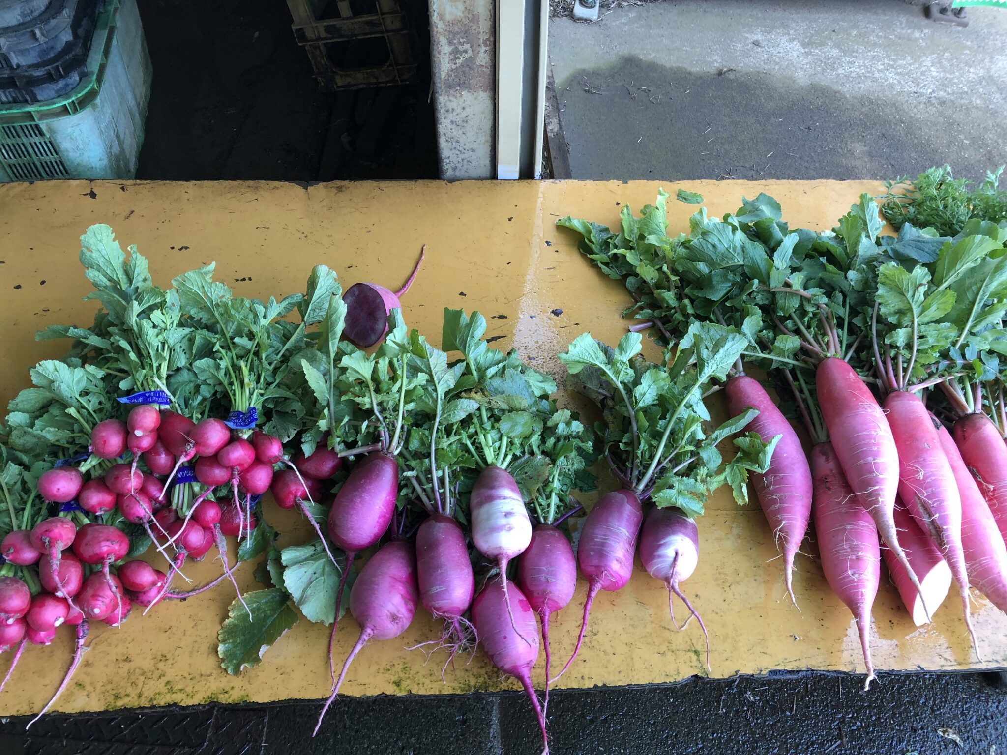 カマスの南蛮漬け